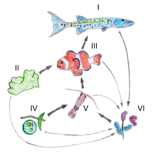 IB Environmental Systems and Societies SL Questionbank - Energy ...