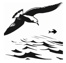 IB Mathematics AI HL Questionbank - Systems of Linear Equations